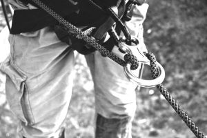 Startseite - NTC-Systems